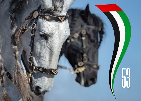 Celebrate UAE National Day at Compass! - Compass Coworking Centre